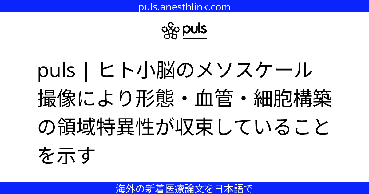 puls | ヒト小脳のメソスケール撮像により形態・血管・細胞構築の領域特異性が収束していることを示す