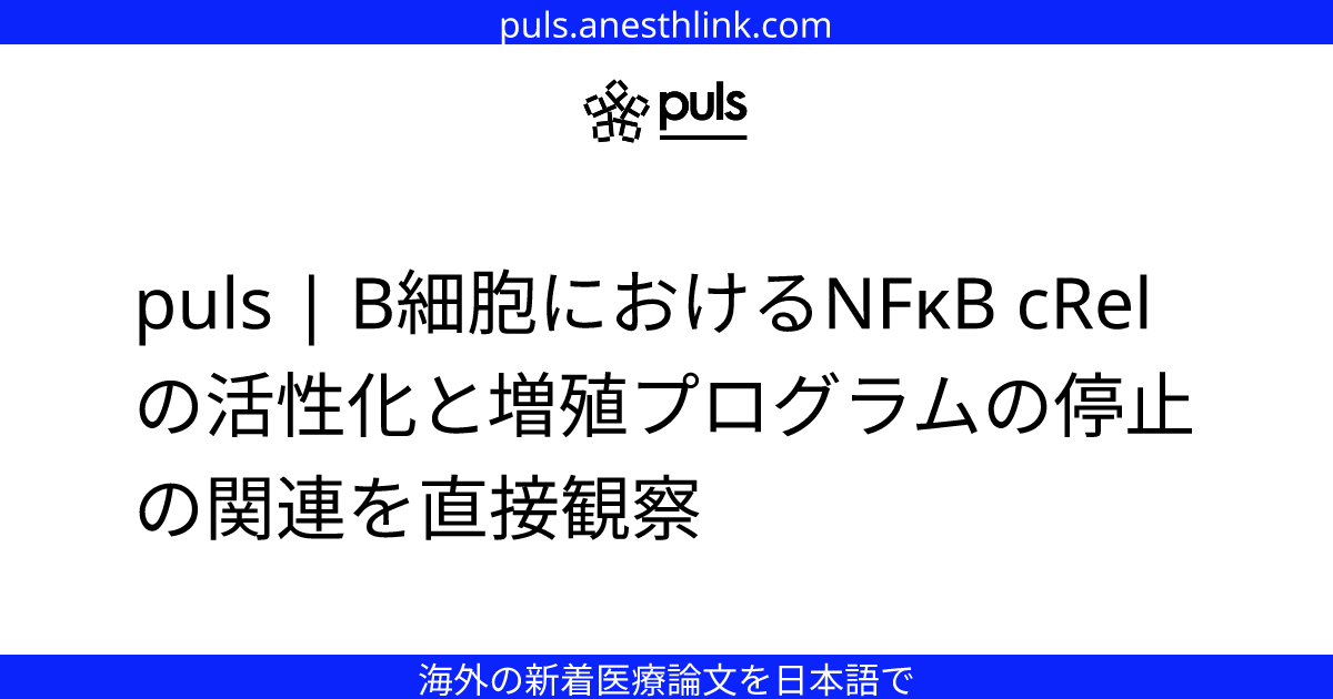 puls | B細胞におけるNFκB cRelの活性化と増殖プログラムの停止の関連を直接観察