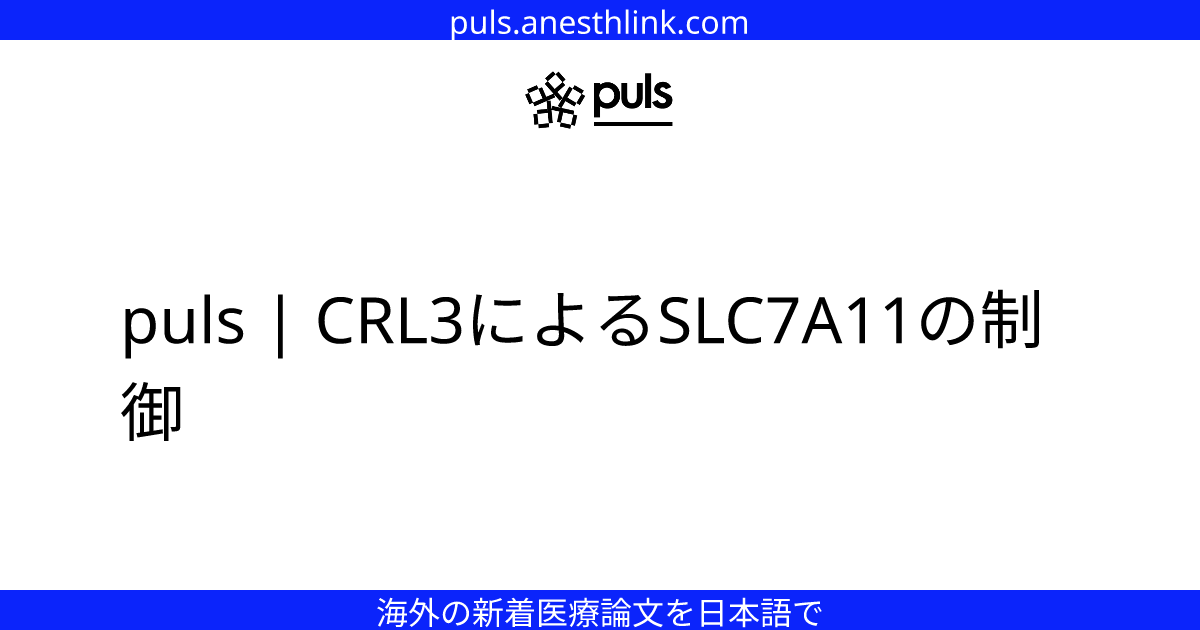 puls | CRL3によるSLC7A11の制御