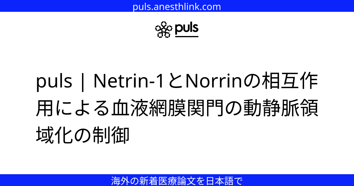 puls | Netrin-1とNorrinの相互作用による血液網膜関門の動静脈領域化の制御